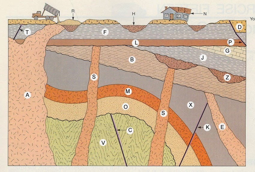 Solved QUESTIONS: Regarding the Main Cross Section. (circle | Chegg.com