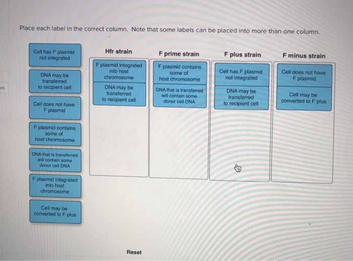 Solved Place each label in the correct column. Note that | Chegg.com