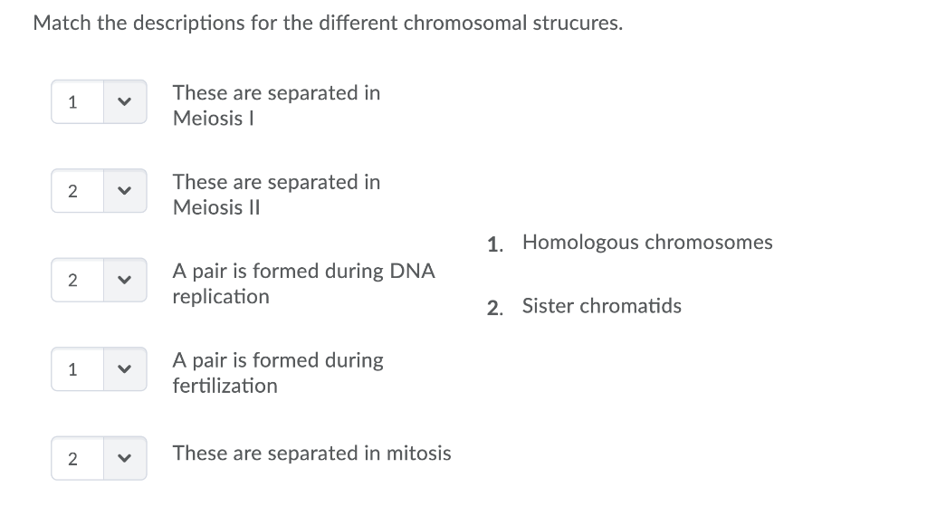 Solved Match the descriptions for the different chromosomal | Chegg.com
