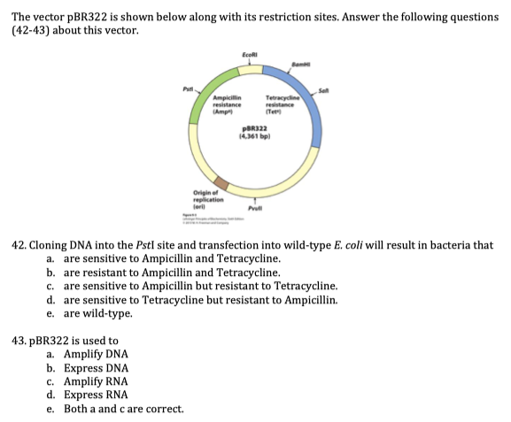 Solved The vector pBR322 is shown below along with its | Chegg.com