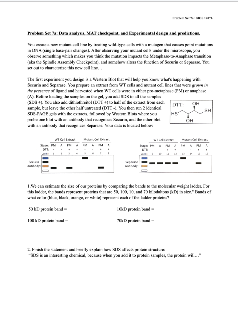 Problem Set 7a: Data analysis, MAT checkpoint, and | Chegg.com
