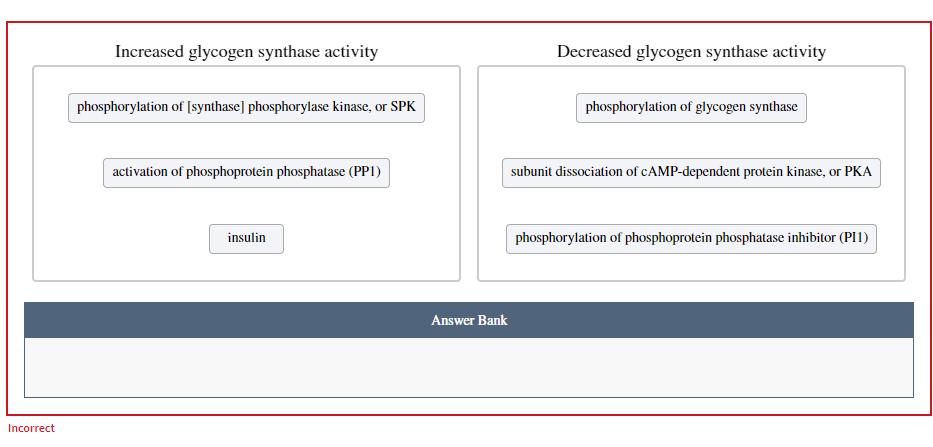 Solved Increased glycogen synthase activity Decreased | Chegg.com