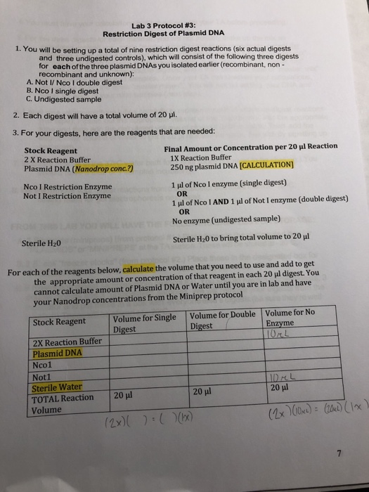 Lab 3 Protocol #3: Restriction Digest of Plasmid DNA | Chegg.com