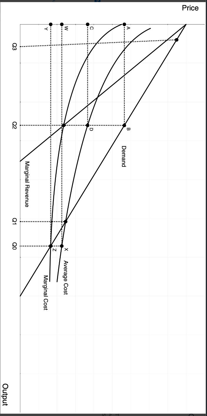 CHO8) Refer to the attached PDF. The efficient level | Chegg.com