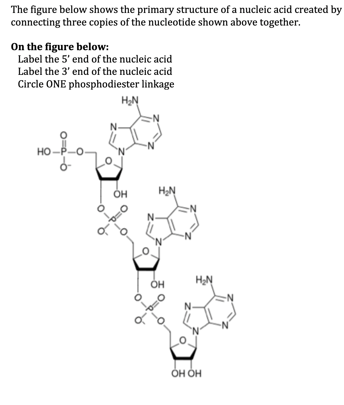 [Solved]: The figure below shows the primary structure of a