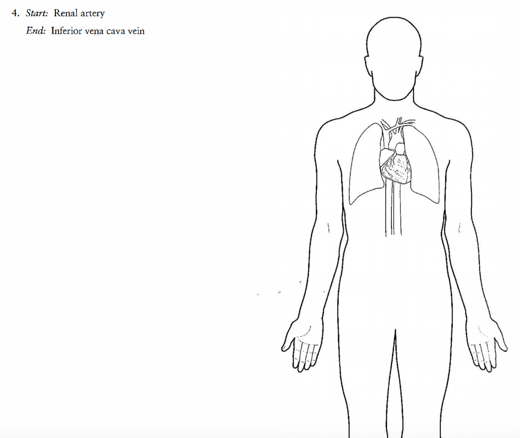 Solved 4. Start: Renal artery End: Inferior vena cava vein | Chegg.com