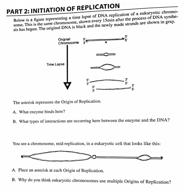 Solved PART 2: INITIATION OF REPLICATION Below is a figure | Chegg.com