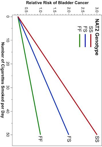 Solved The human gene NAT2 codes for N-acetyltransferase 2, | Chegg.com
