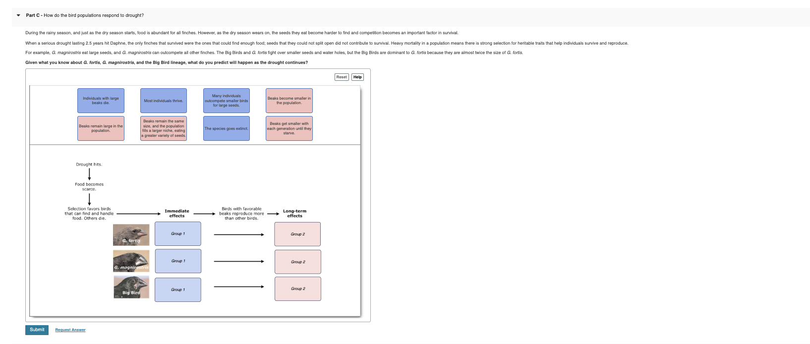Solved Given what you know about G. fortis, G. magnirostris, | Chegg.com