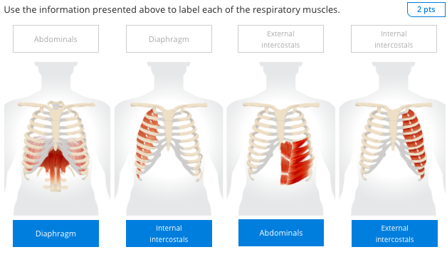 Solved Use the information presented above to label each of | Chegg.com