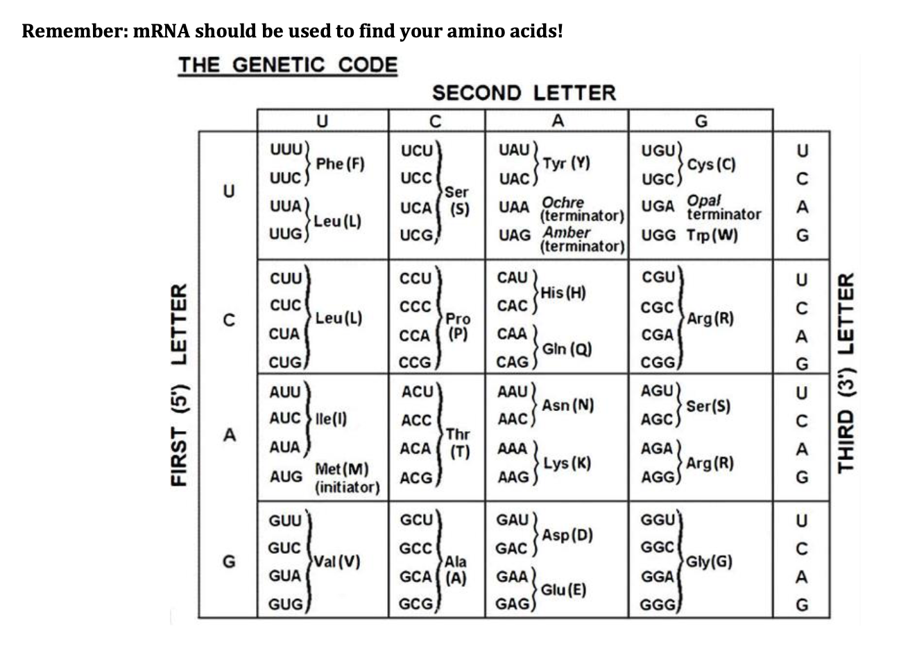 Solved The following table shows a partial DNA, mRNA, tRNA | Chegg.com