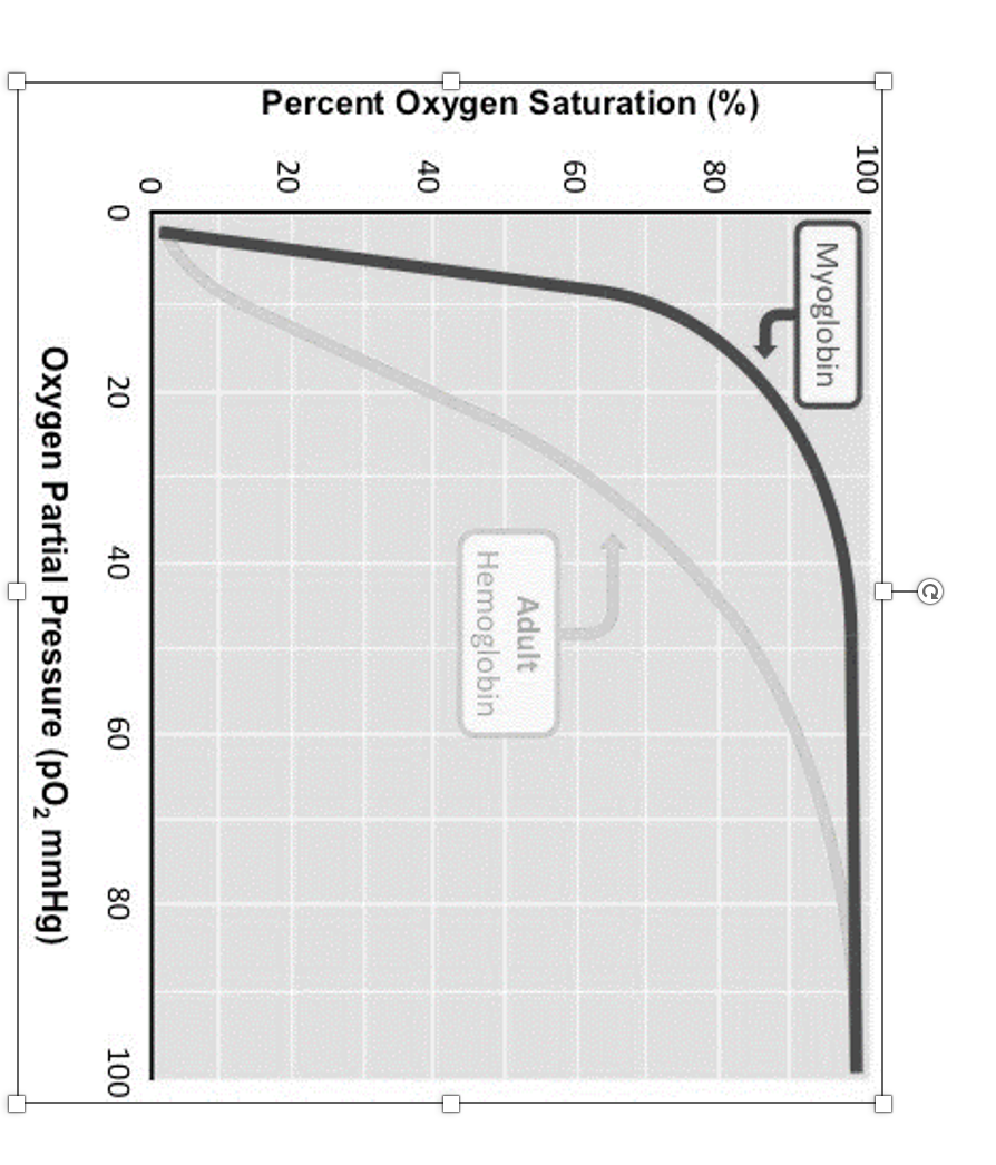Solved (0) 1. which of the lines in this graph indicates the | Chegg.com