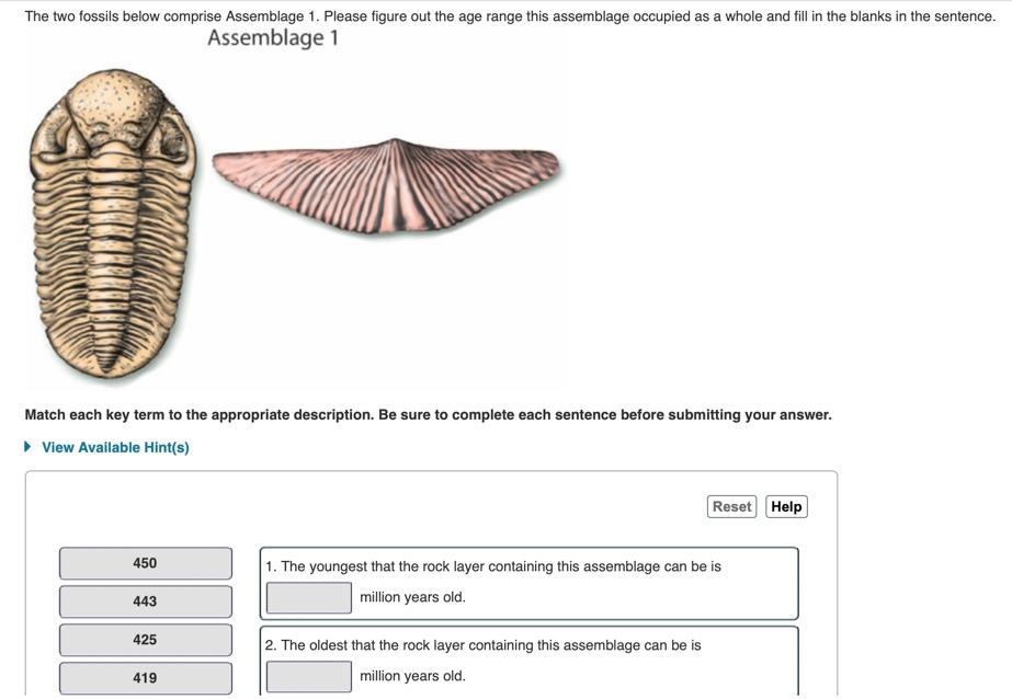 Solved The two fossils below comprise Assemblage 1. Please | Chegg.com