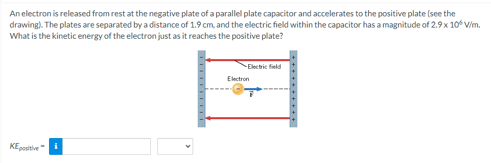 Solved An electron is released from rest at the negative | Chegg.com