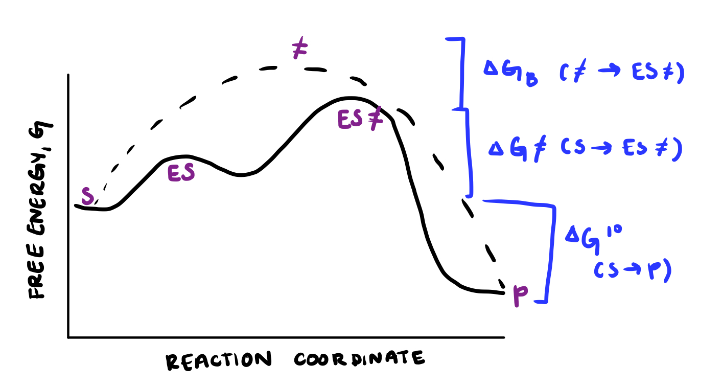 Given the basic example of a reaction coordinate for | Chegg.com
