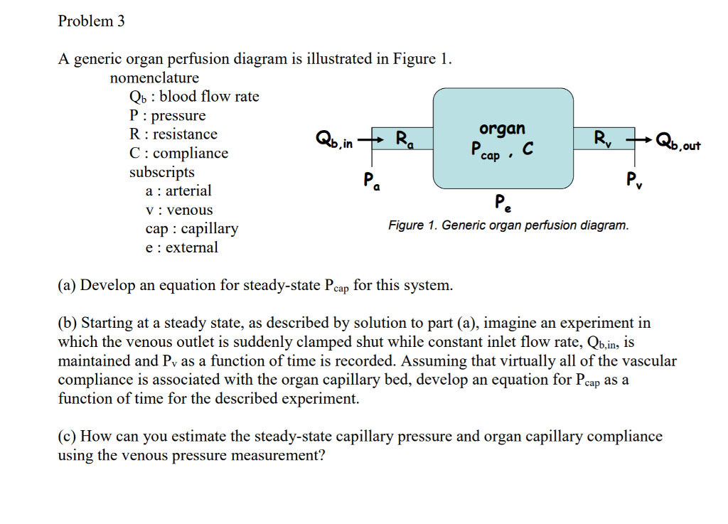 Solved Problem 3 A generic organ perfusion diagram is | Chegg.com