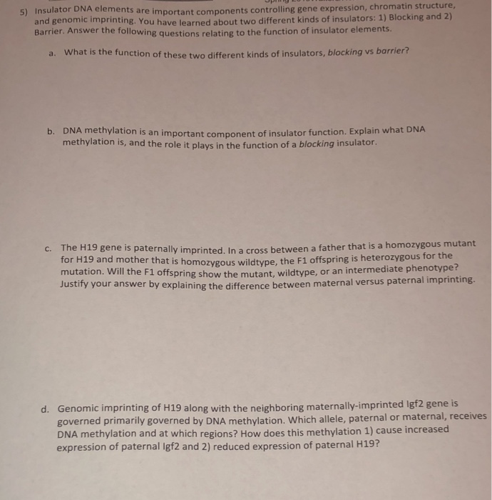 Solved Insulator DNA elements are important components | Chegg.com