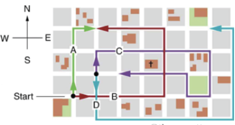 Solved: Question 1) The Various Lines Represent Paths Take... | Chegg.com