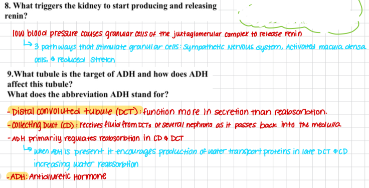 Solved can someone check if my answers are right, please, | Chegg.com
