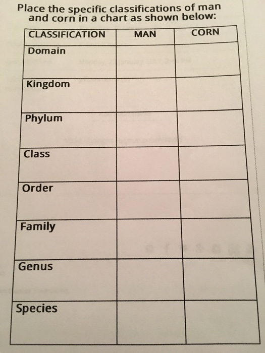 Solved Provide the most modern version of the classification | Chegg.com
