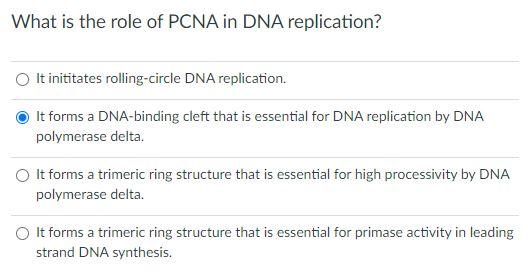 Solved What is the role of PCNA in DNA replication? It | Chegg.com