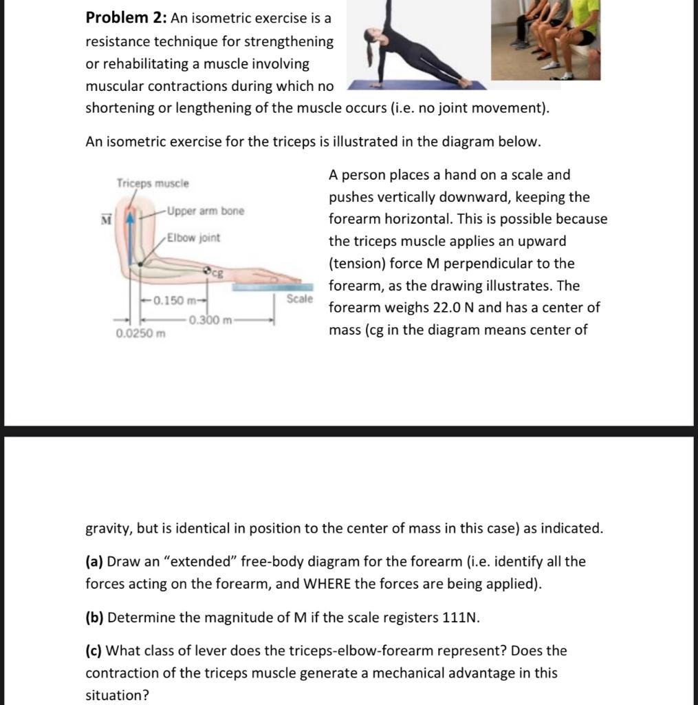 Solved Problem 2: An isometric exercise is a resistance | Chegg.com