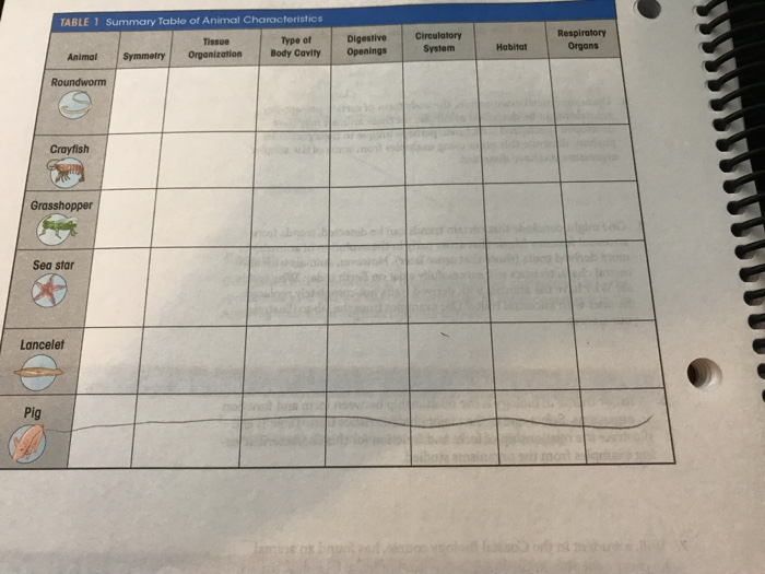 Solved TABLE 1 Summary Table of Animal Characteristics | Chegg.com