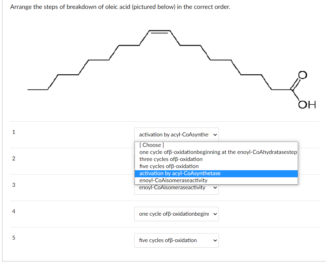 Solved Arrange the steps of breakdown of oleic acid | Chegg.com
