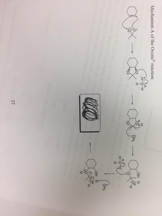 Solved Mechanism A of the Oxone reaction: | Chegg.com