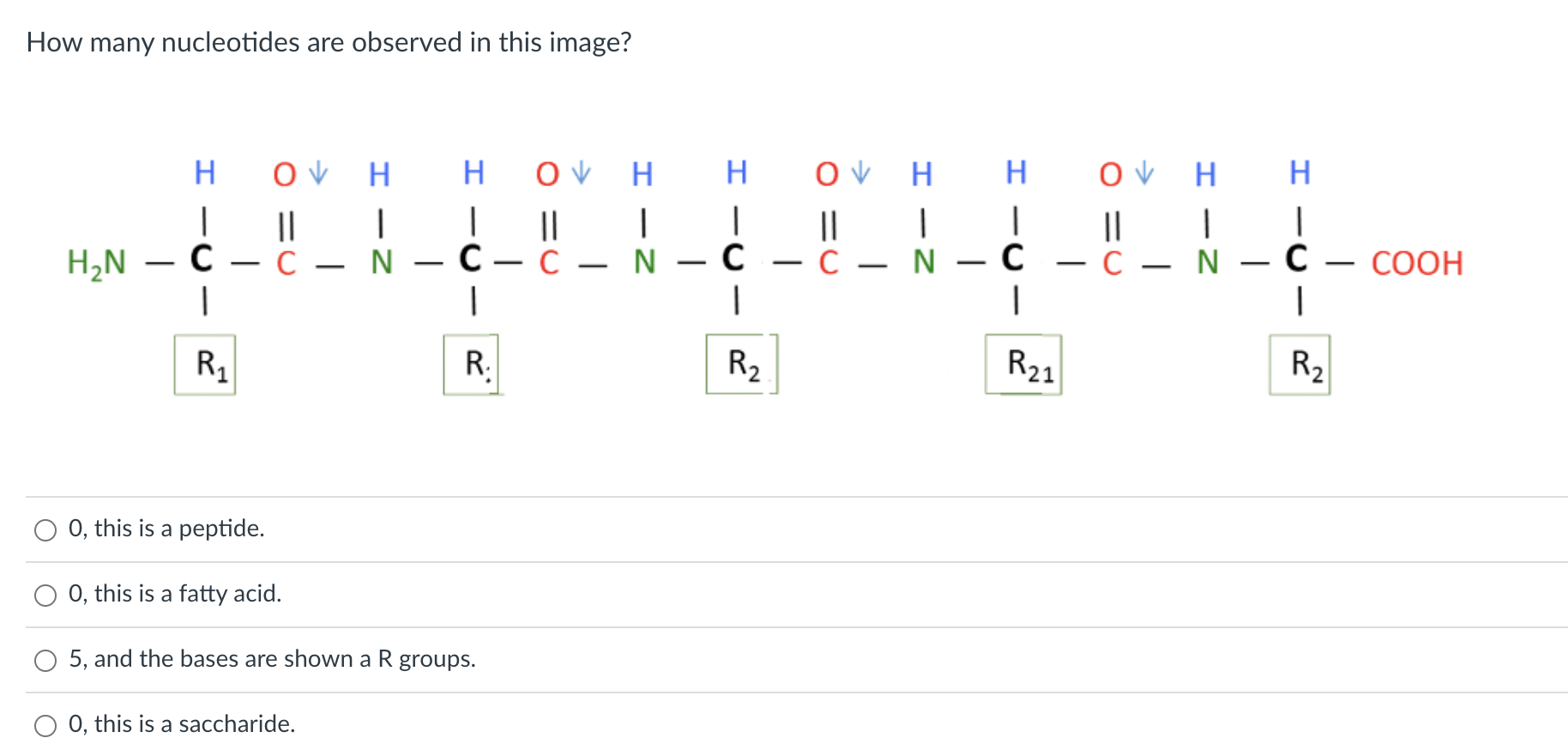 Solved How many nucleotides are observed in this image?0 , | Chegg.com