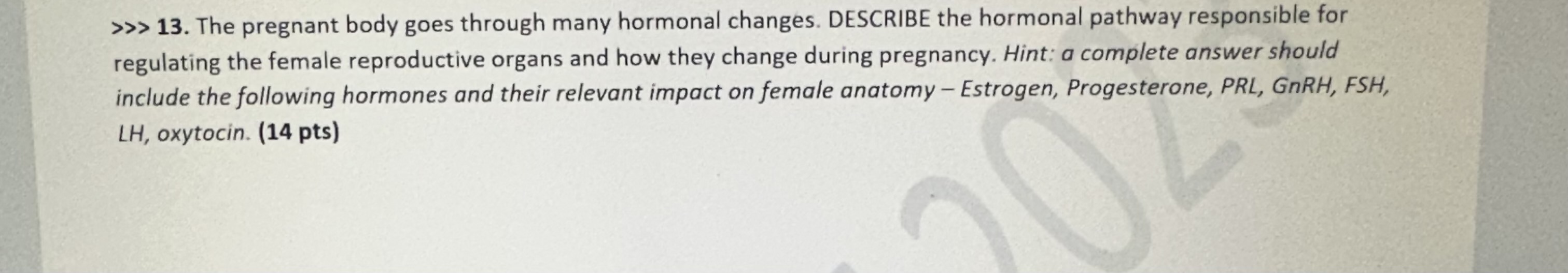 Solved The pregnant body goes through many hormonal changes. | Chegg.com