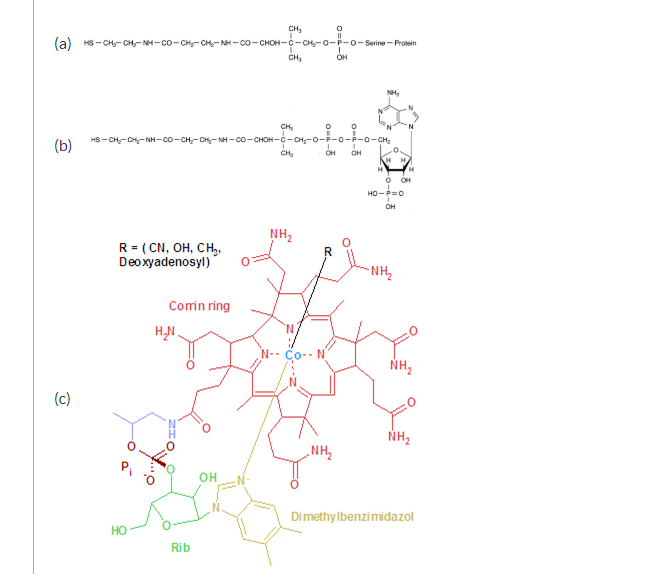 Solved Biochemistry matching, match the images to the | Chegg.com