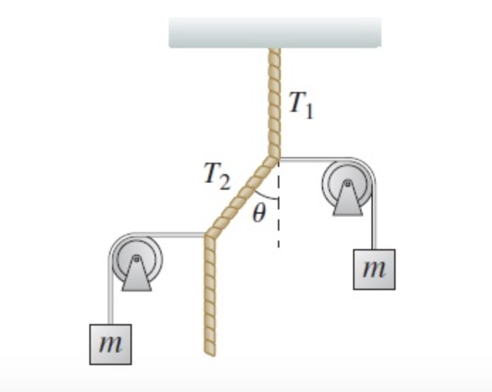 Solved Scientists have studied how snakes grip and climb | Chegg.com