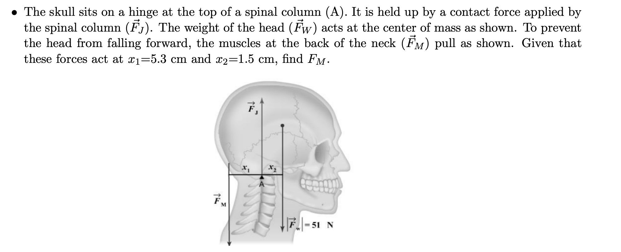 Solved • The skull sits on a hinge at the top of a spinal | Chegg.com