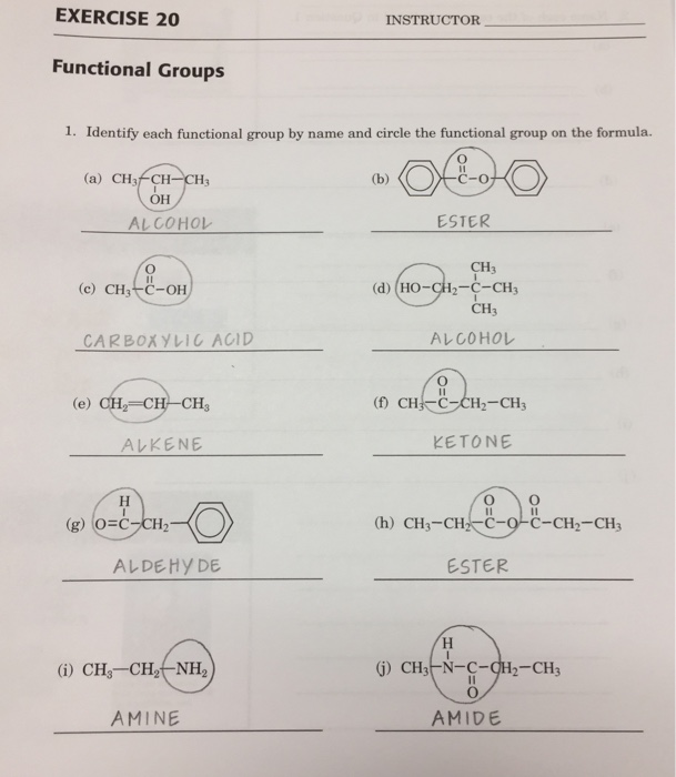 Solved EXERCISE 20 INSTRUCTOR Functional Groups 1. Identify | Chegg.com