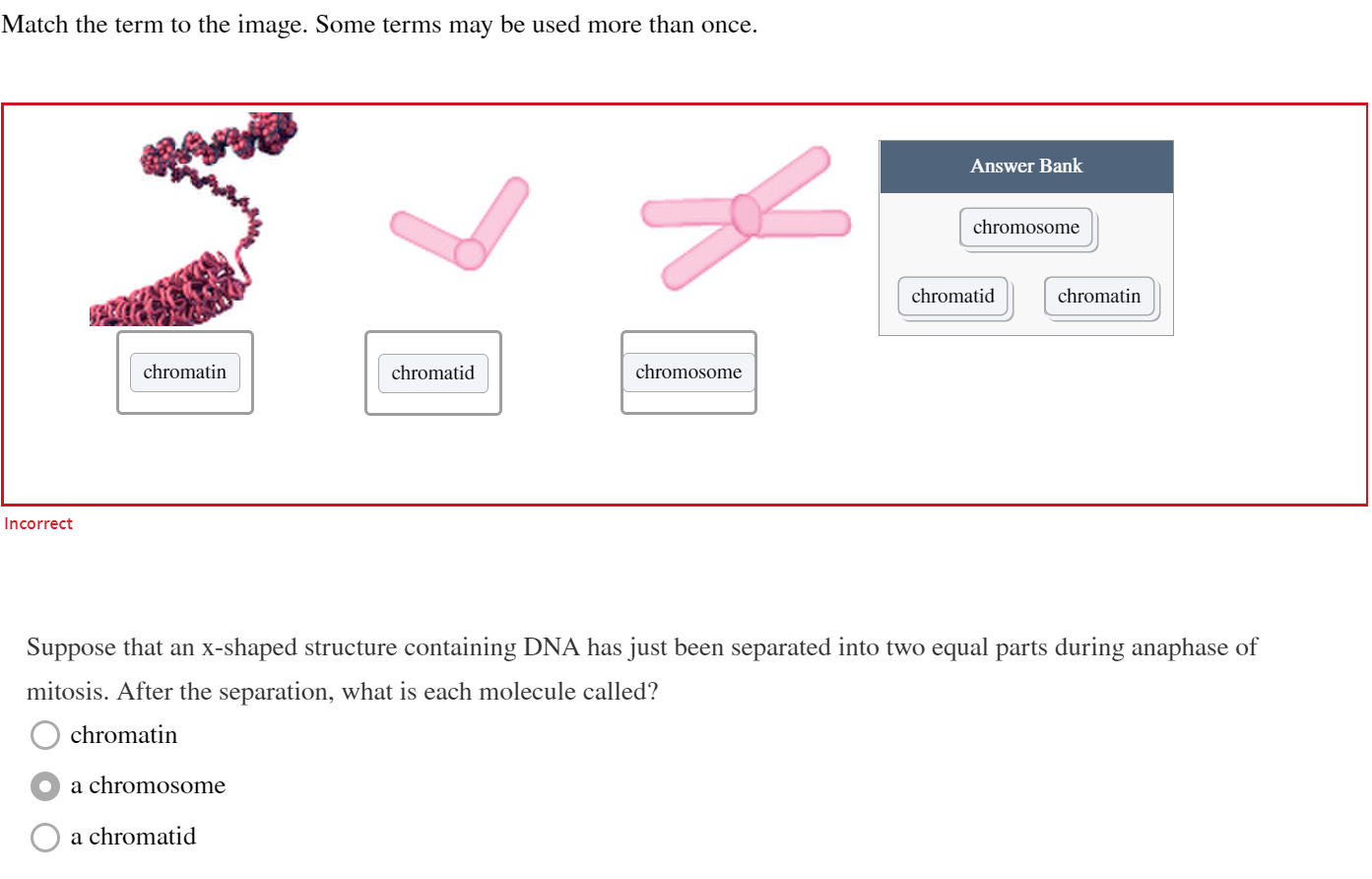 Solved Match the term to the image. Some terms may be used | Chegg.com