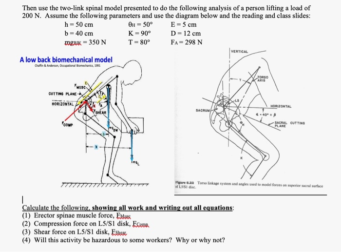 Solved Then use the two-link spinal model presented to do | Chegg.com