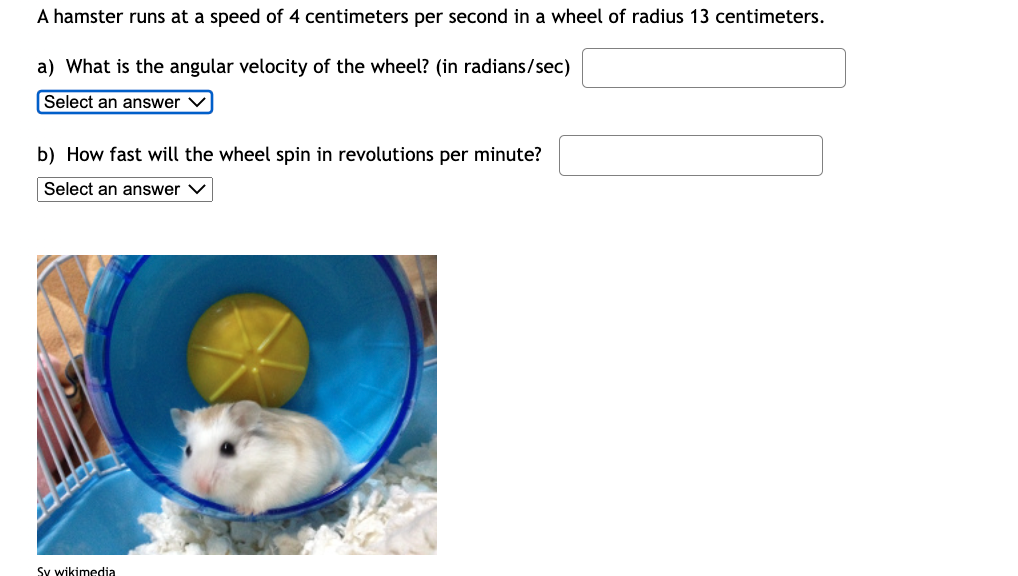 Solved A hamster runs at a speed of 4 centimeters per second | Chegg.com