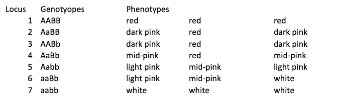 Solved What is the mode of inheritance for the following | Chegg.com