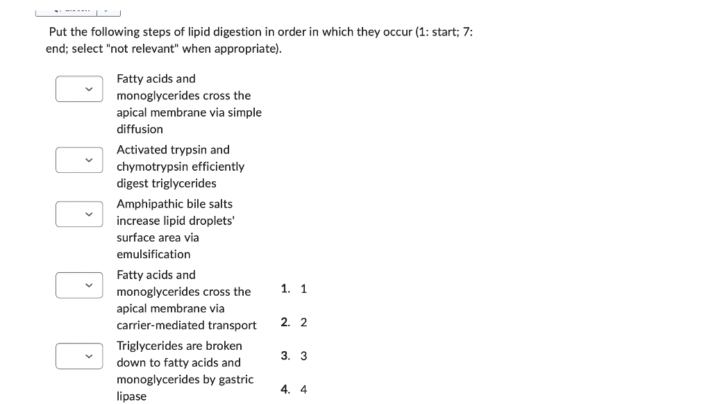 Solved In response to acid in the duodenum, Select all that | Chegg.com