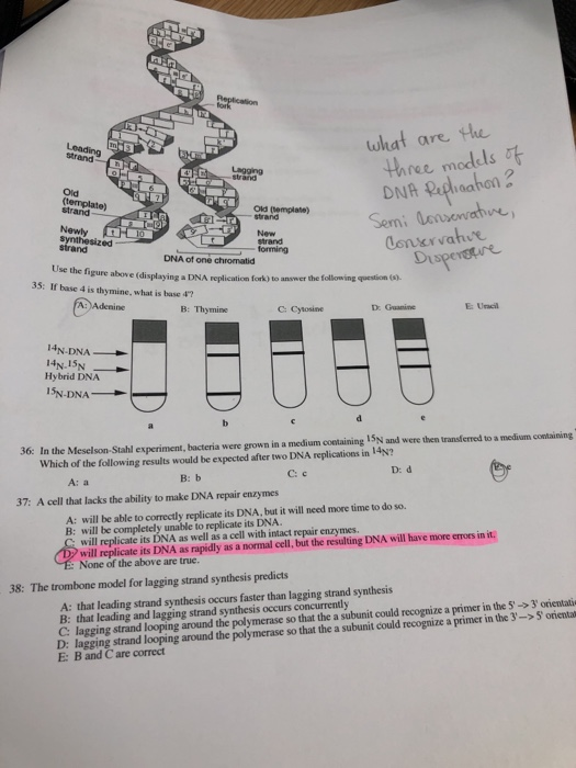 Solved what are the ree m strand Lagging Old (template) | Chegg.com