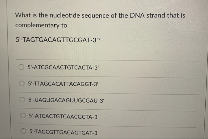 Nucleotide Sequence