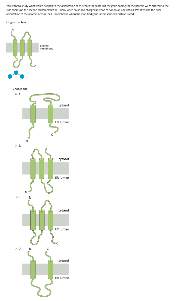 Solved You want to study what would happen to the | Chegg.com