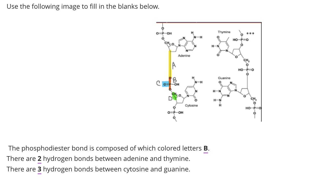 Solved Use the following image to fill in the blanks | Chegg.com