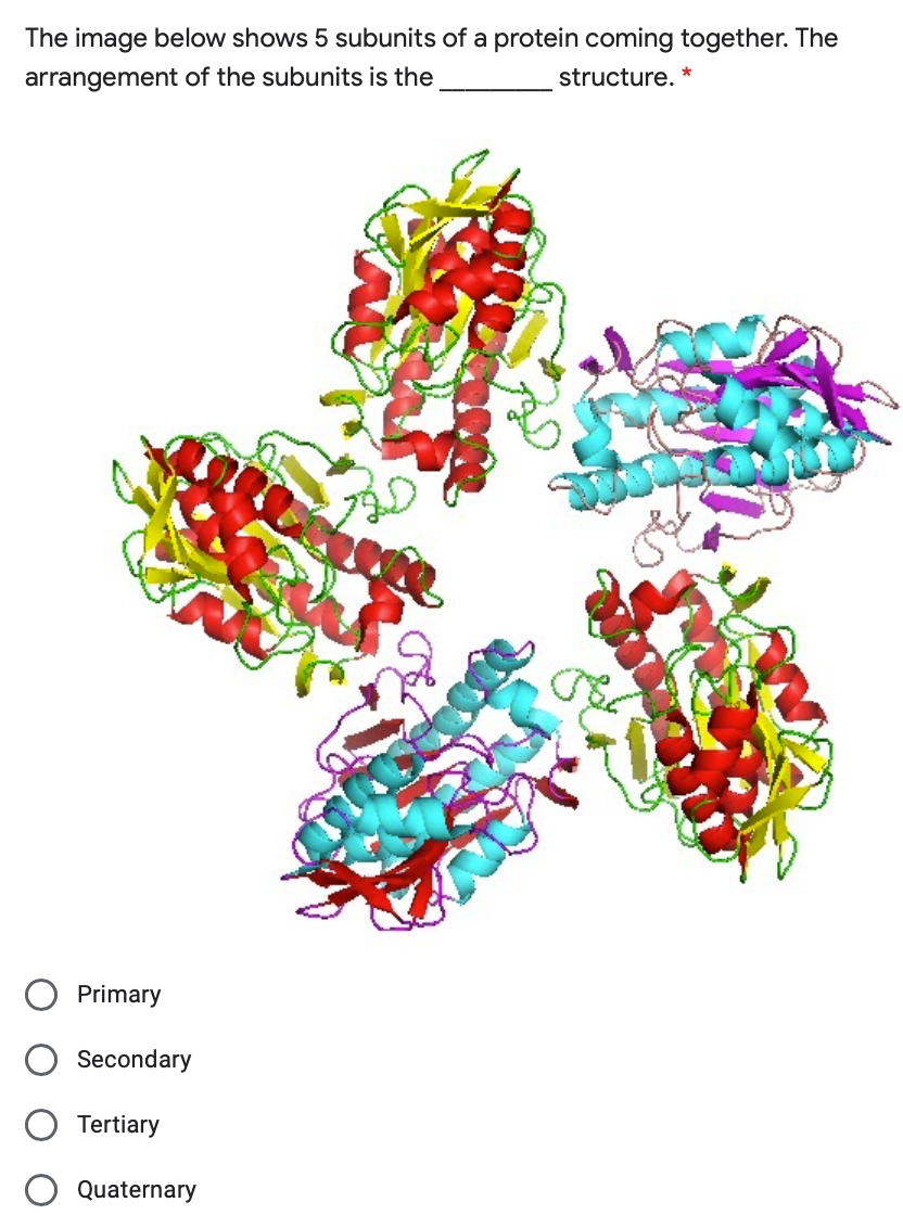 Solved The image below shows 5 subunits of a protein coming | Chegg.com