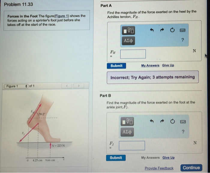 Solved Forces in the Foot The figure(Figure 1) shows the | Chegg.com