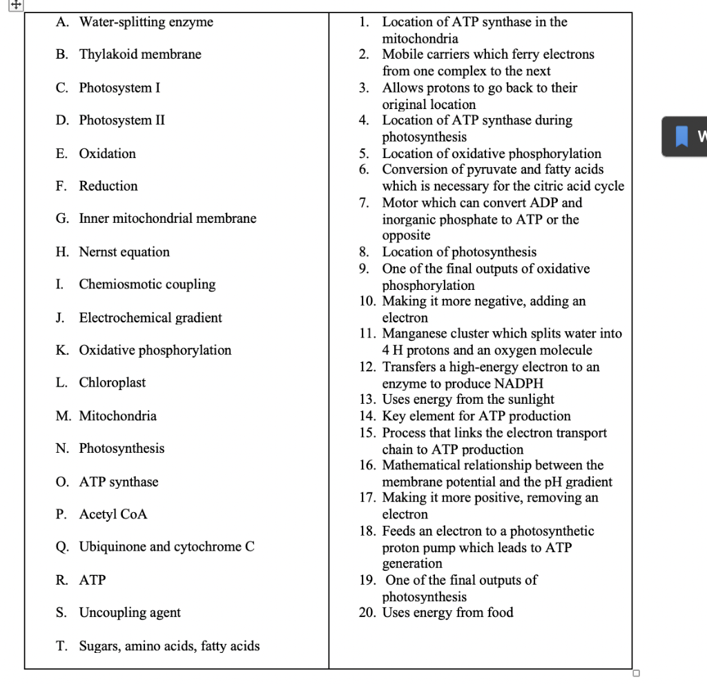 Solved A. Water-splitting enzyme B. Thylakoid membrane C. | Chegg.com