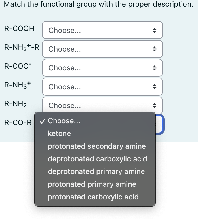 Solved Match the functional group with the proper | Chegg.com