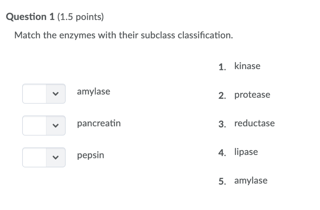 Solved Question 1 (1.5 points) Match the enzymes with their | Chegg.com