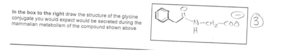 Solved SCOA In the box to the right draw the structure of | Chegg.com